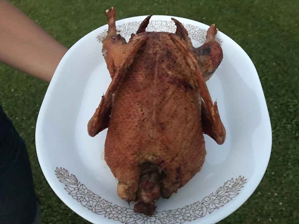 Raising Ducks: A Homesteader’s Guide | two branches homestead