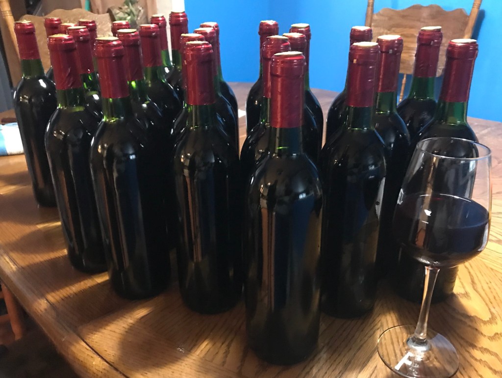 Making Homemade Wine + Growing Grapes = Homestead Happiness | two ...