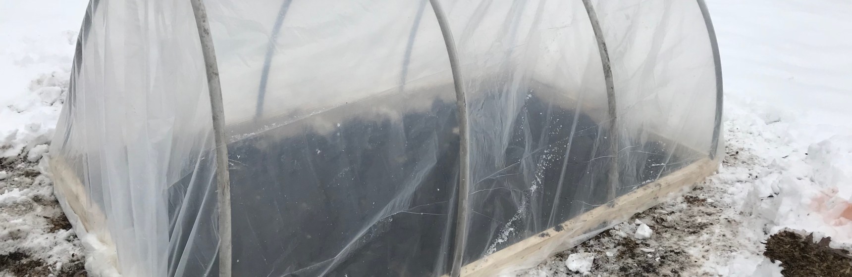 How To Build a Low Tunnel and Save Your Sanity | two branches homestead