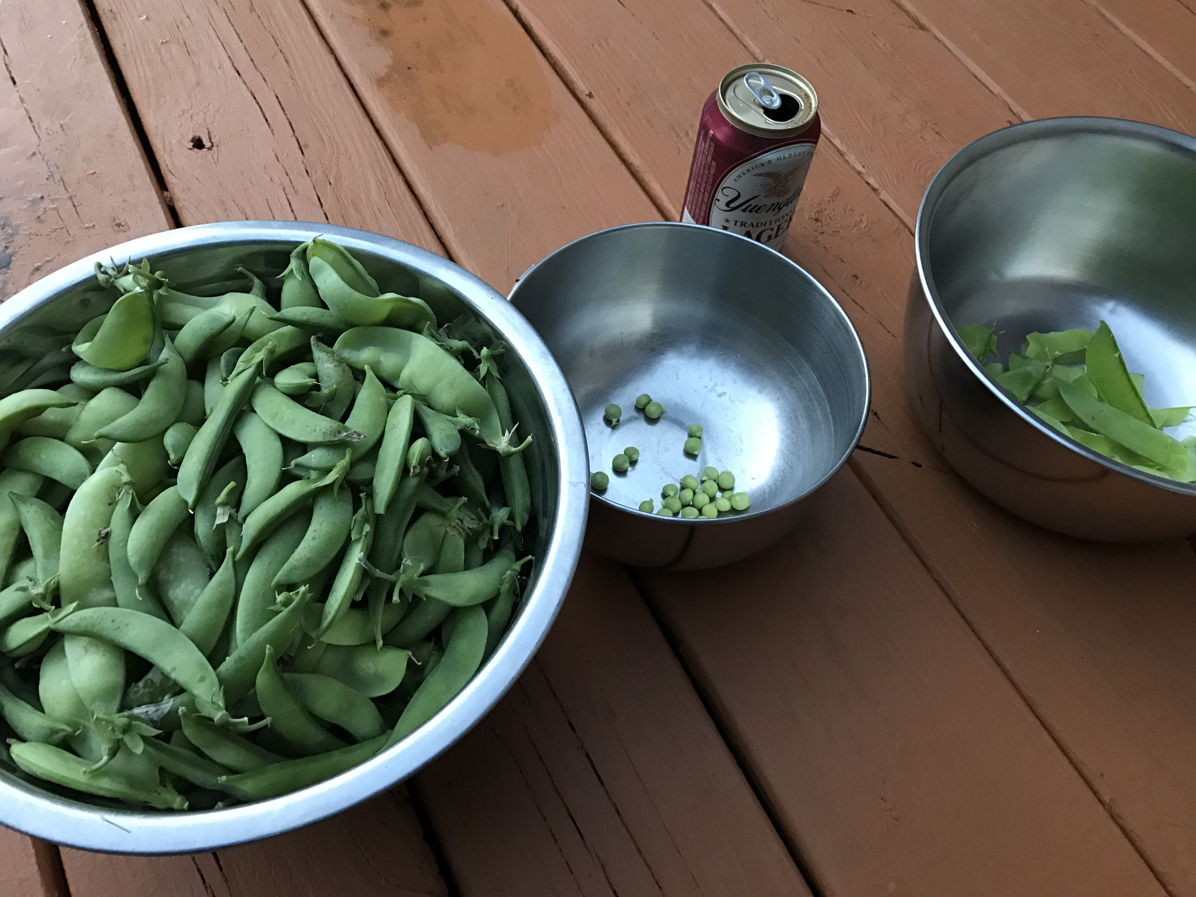 Take a Step Back in Time and Grow Peas This Spring | two branches homestead