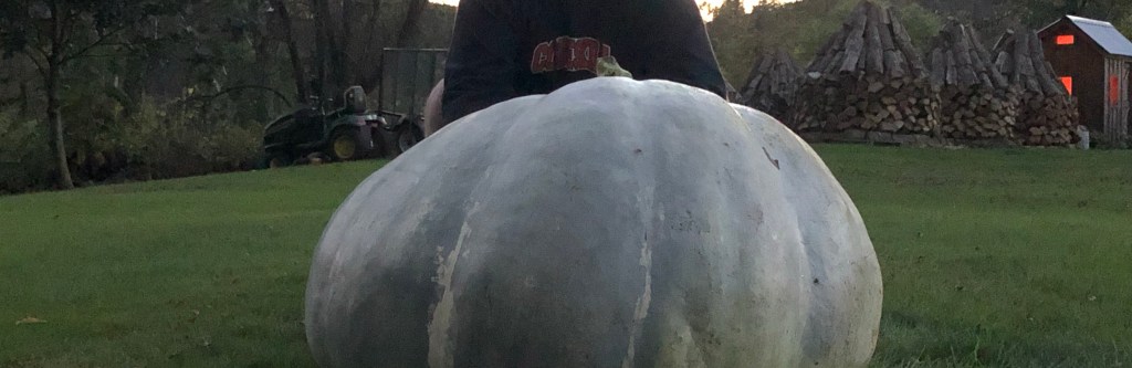 The tale of Leon the giant pumpkin | two branches homestead